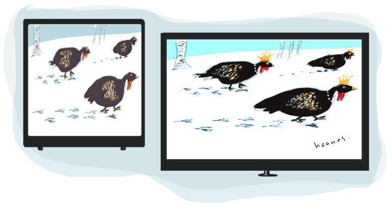 Upgrading to HDTV: “And this the native hue of resolution” or “Toto, we ...